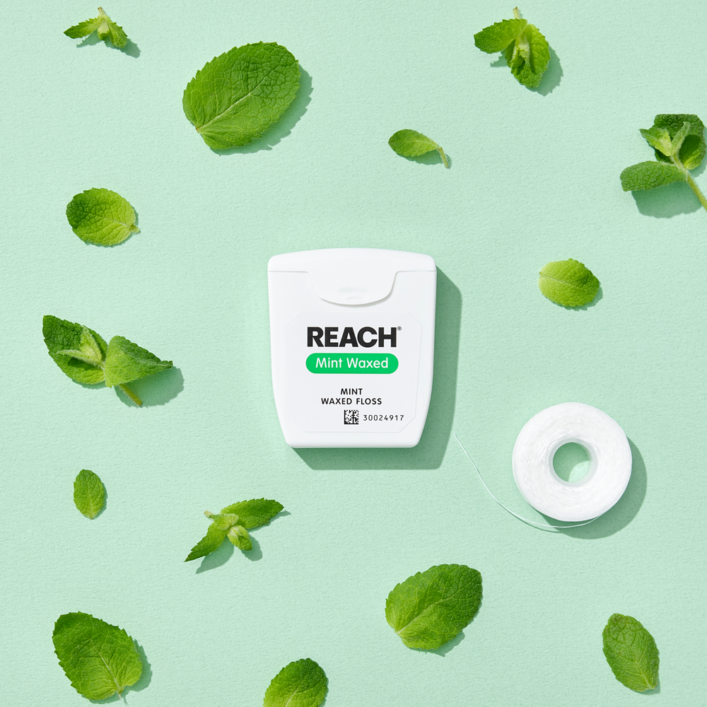 REACH – LGH&H