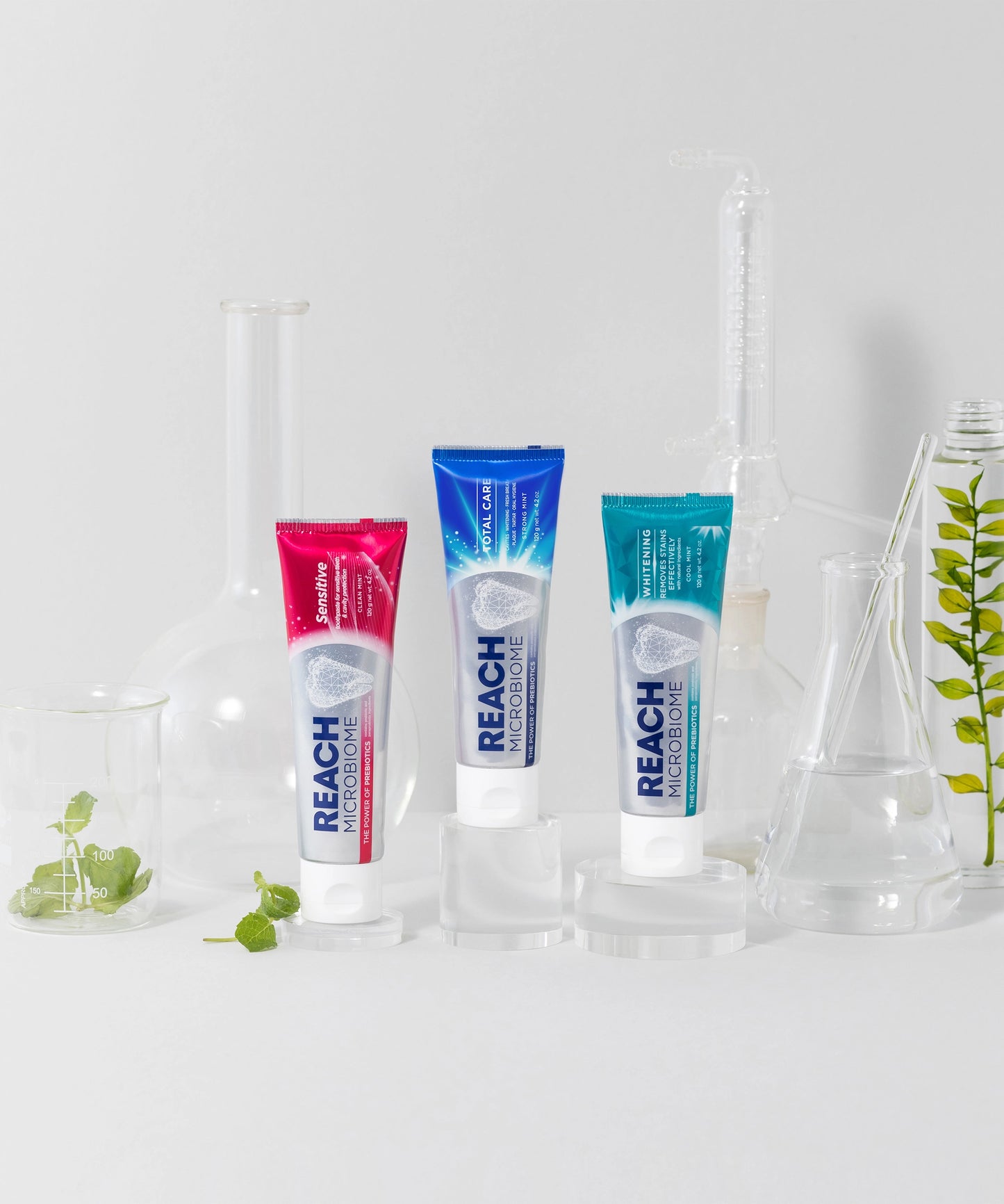 REACH Total Care Toothpaste - Classic Mint – LGH&H